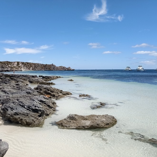 Mater Foundation - Spellathon 2024